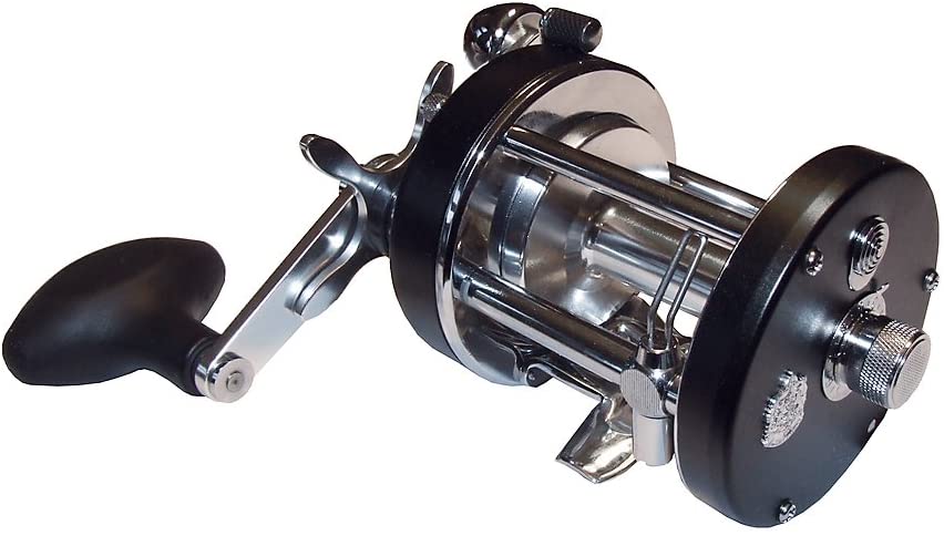 Best Kingfish Reels (Spinning Reel Reviews-2026) | ThePawsAndClaws.com