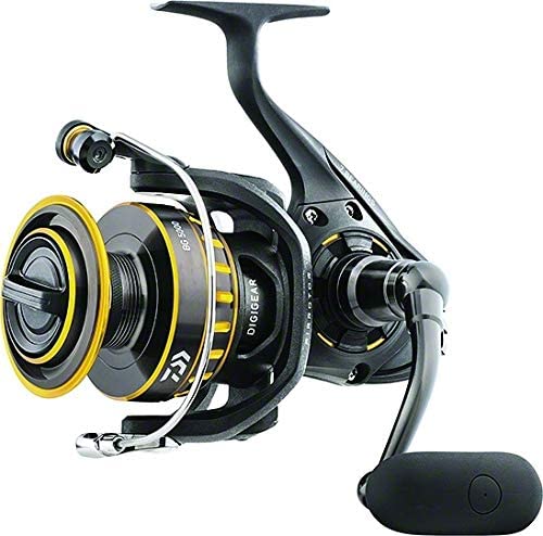 Best Kingfish Reels (Spinning Reel Reviews-2026) | ThePawsAndClaws.com