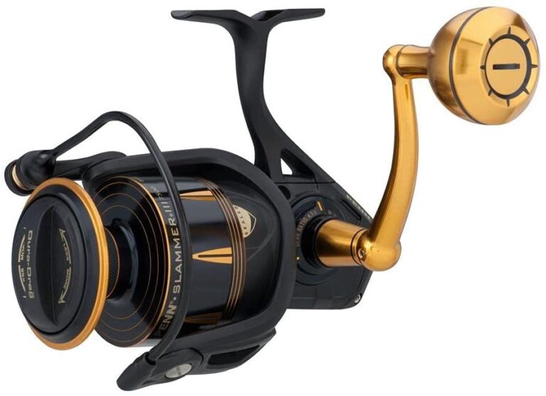 Best Kingfish Reels (Spinning Reel Reviews-2026) | ThePawsAndClaws.com